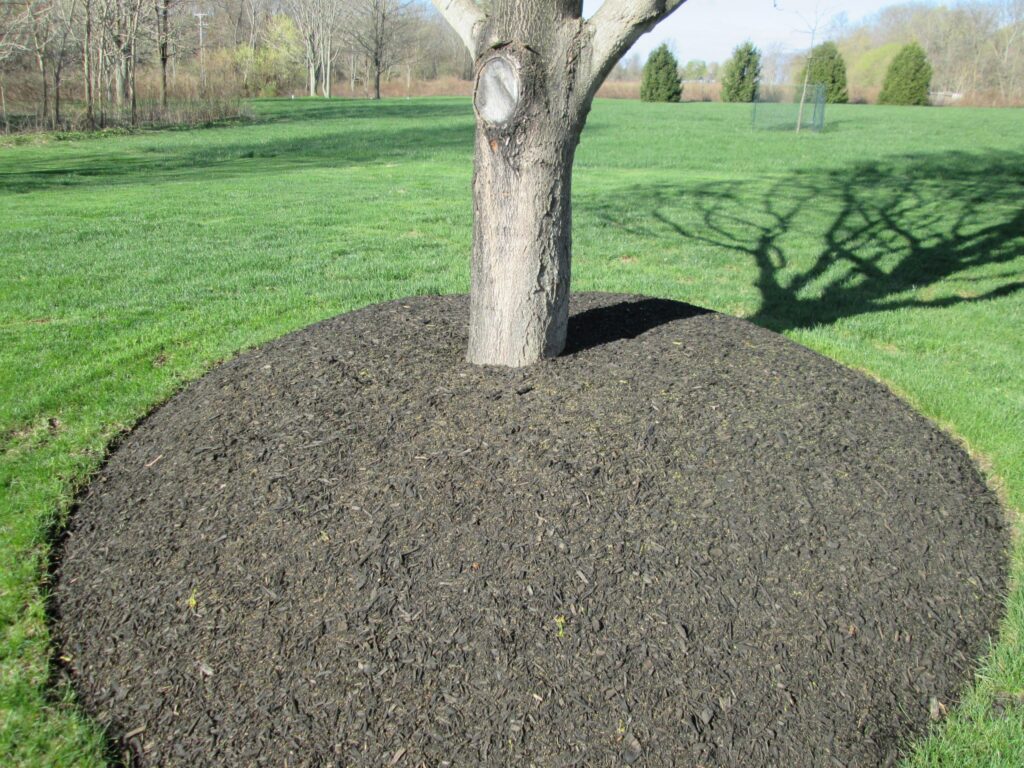 Benefits of Annual Mulching