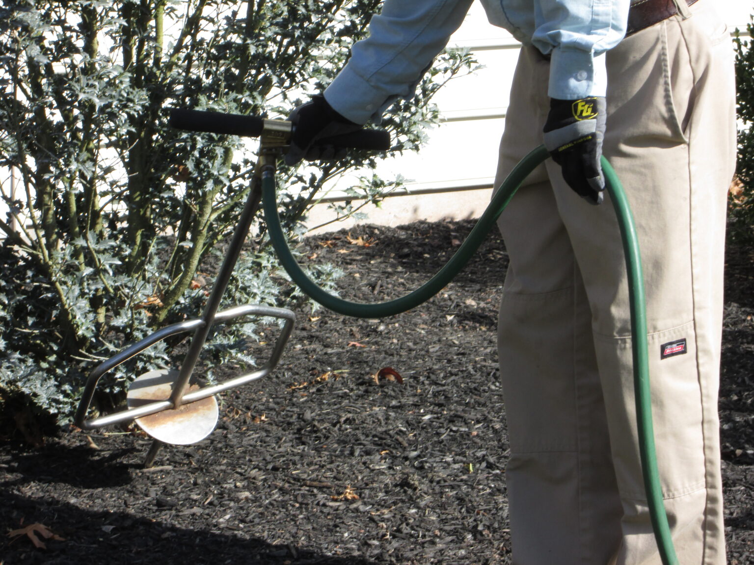 The Ultimate Guide to Fertilizing Trees and Shrubs In The Fall